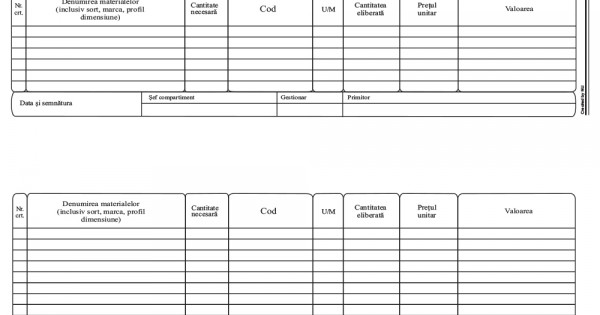 Bon consum colectiv, 2/A4, 100 file, fata-verso, 3 bucati/set